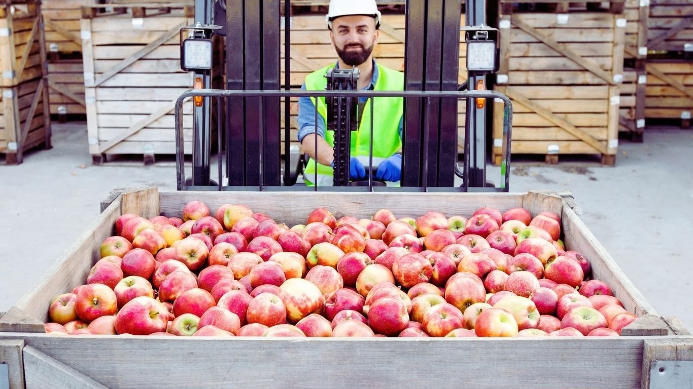 Food Distributor Multi-Site Blue Yonder WMS Upgrade | Spinnaker SCA